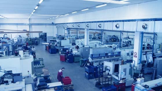 Production area: How much does your company produce?